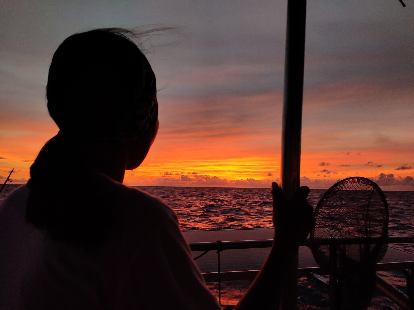Feedback - Sail the Andaman